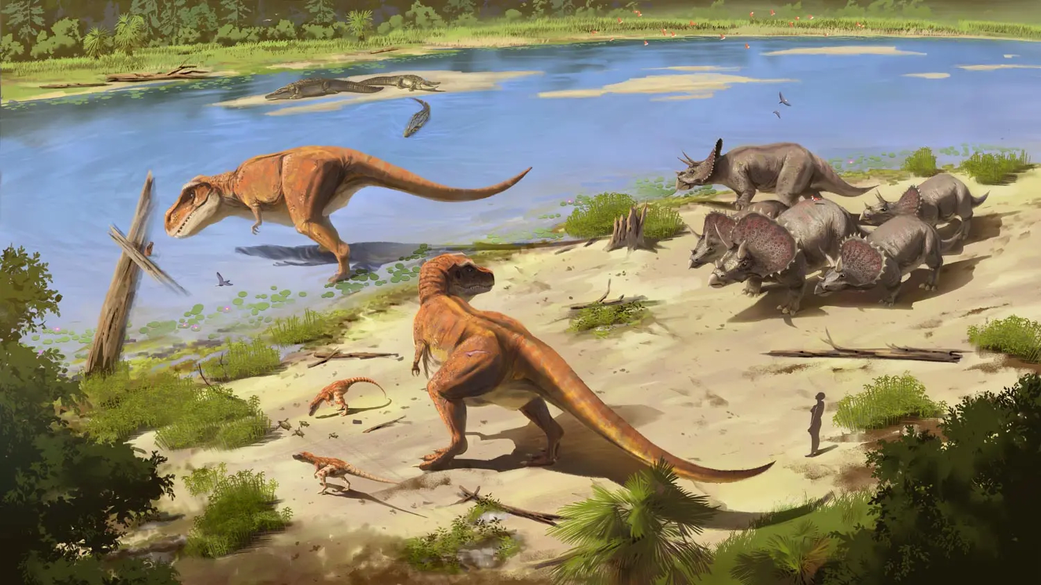 Life Chronicles in Montreal: Immersive VR Tour